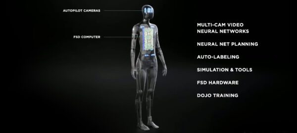 Tesla Bot Optimus; The Latest Information About Tesla's Robot